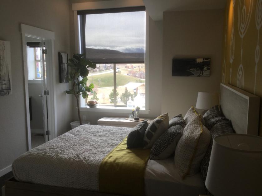 New Rowhomes at RidgeGate in Lone Tree by Thrive Home Builders